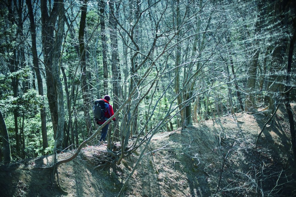 ＜vol.27＞薮山を楽しむための必須テクニック 読図のABC | Fielder