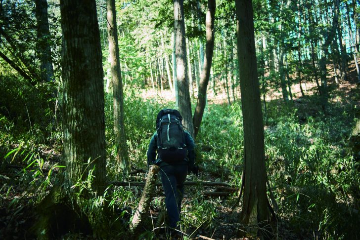 ＜vol.27＞薮山を楽しむための必須テクニック 読図のABC | Fielder